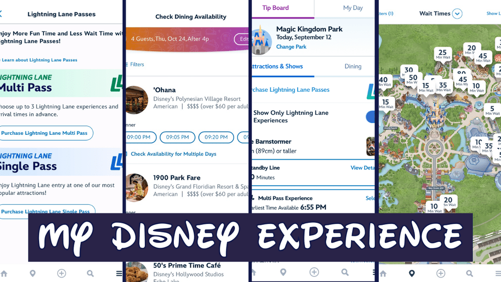 Walt Disney World 101: A Beginner's Guide — Traveling With Celeste