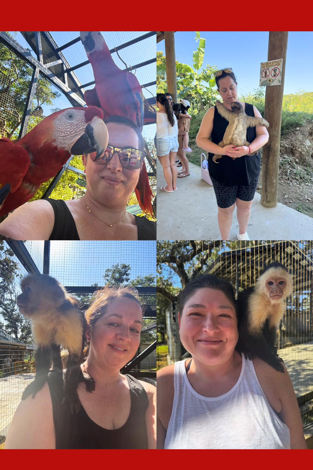 Unforgettable Roatán: Sloth Sanctuary Visit & Snorkeling the ...
