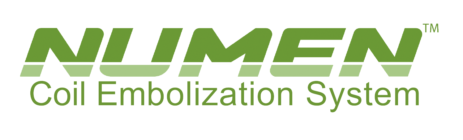 NUMEN™ Coil Embolization System — Microport Neuroscientific