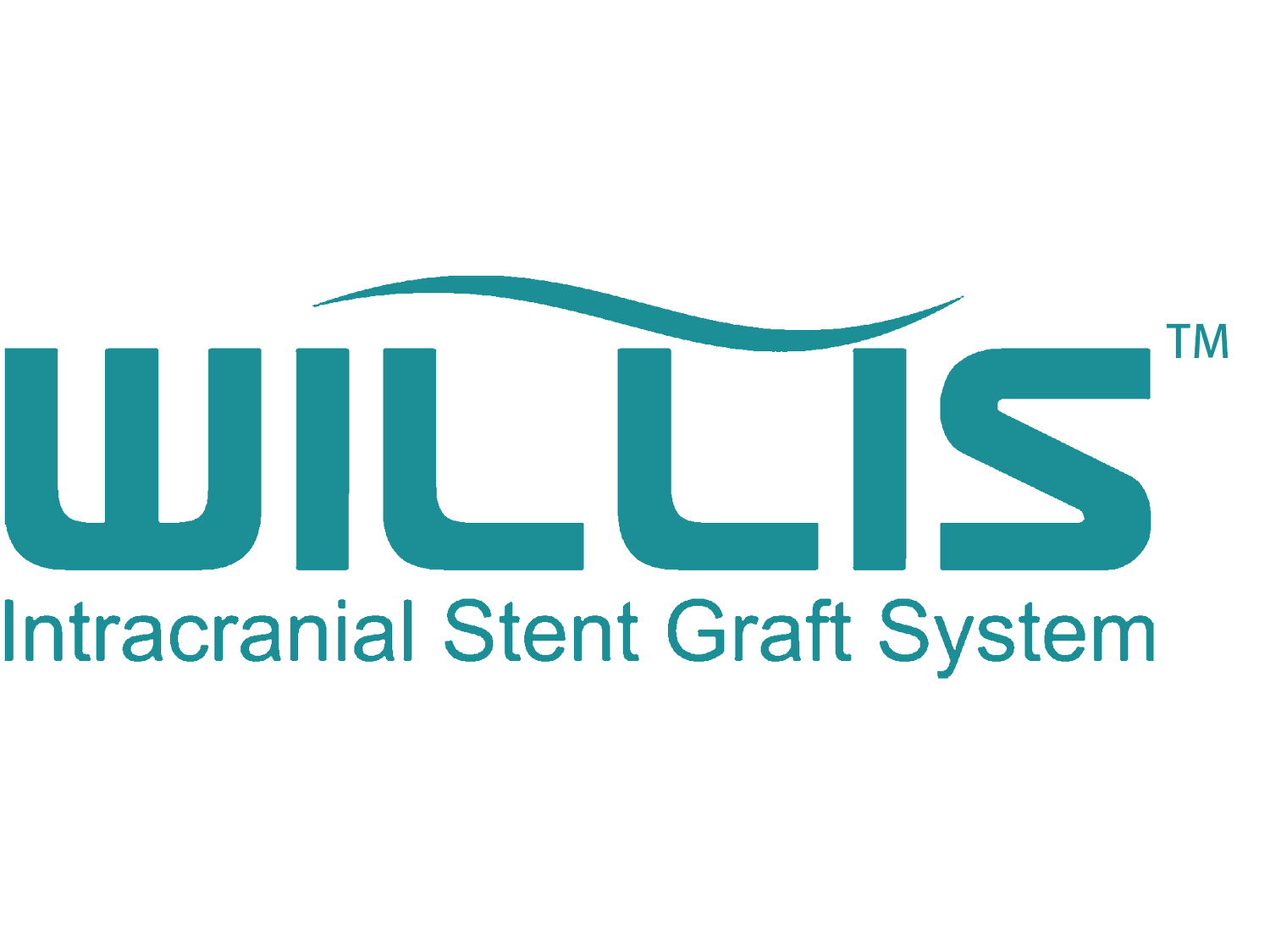WILLIS™ Intracranial Stent Graft System — Microport Neuroscientific