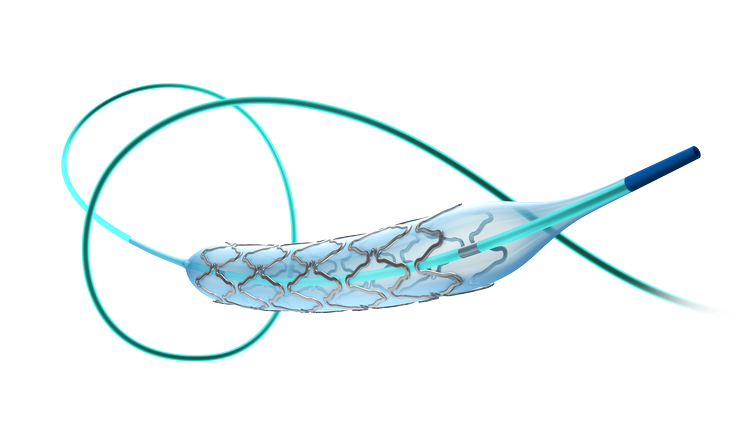 APOLLO™ Intracranial Stent System — Microport Neuroscientific