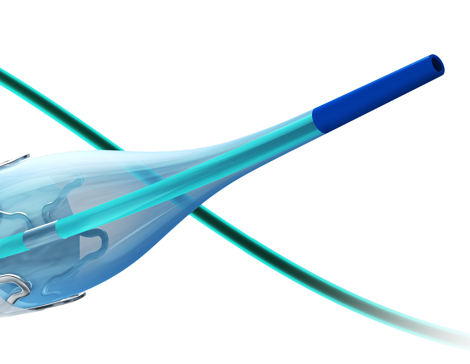 WILLIS™ Intracranial Stent Graft System — Microport Neuroscientific
