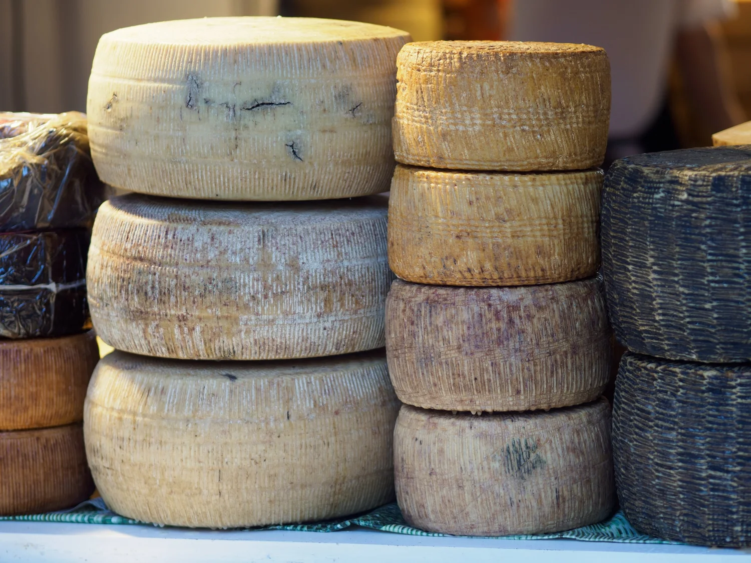 Graydon's Cheese Cellar