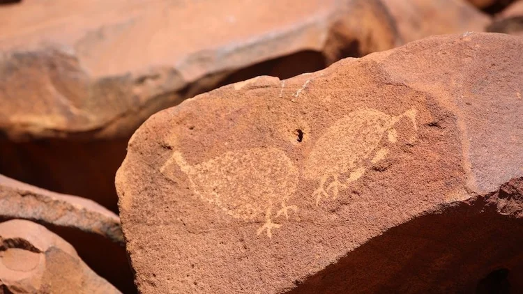 About Murujuga — Friends of Australian Rock Art