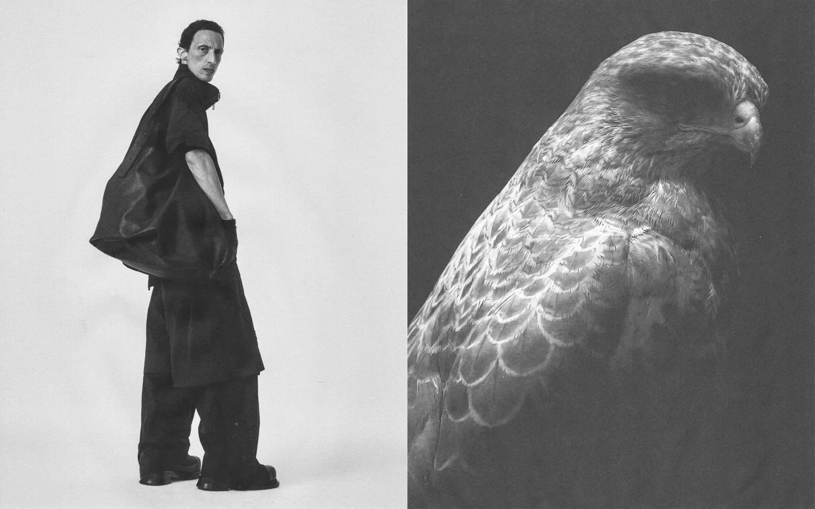 SONGZIO AND HELIOT EMIL RETURN WITH ‘FALCONRY’ COLLECTION — Numéro ...