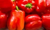 Capsicums — Northern Adelaide Plains Food Cluster