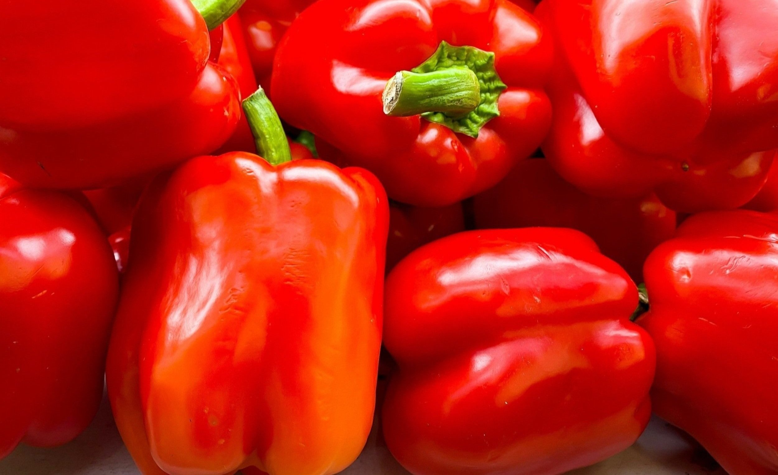 Capsicums — Northern Adelaide Plains Food Cluster
