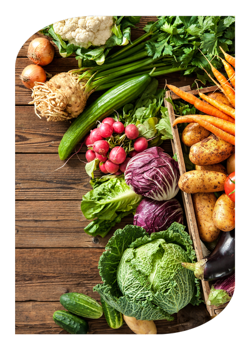GROWN ON THE ADELAIDE PLAINS — Northern Adelaide Plains Food Cluster