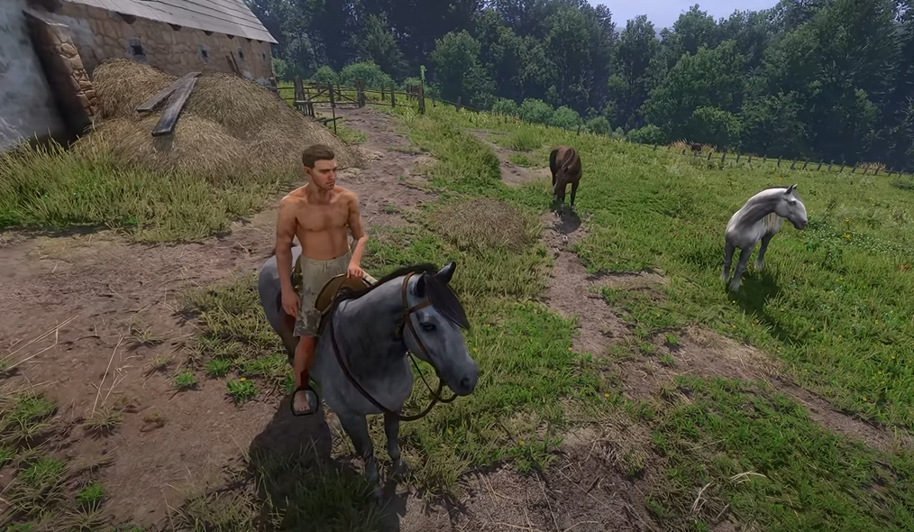 KCD2在哪裡找到鵝卵石|王國來：Deliverance 2馬指南