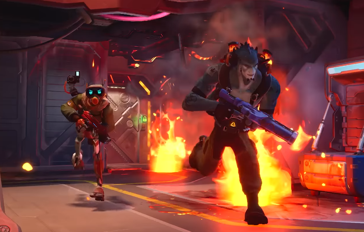 Wildgate Beginners Guide