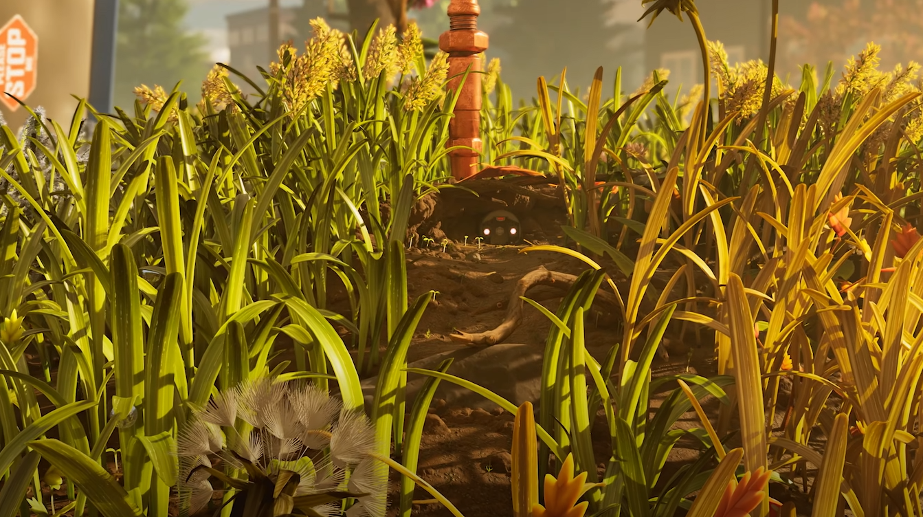 Grounded 2 Acorn Locations