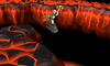 OSRS Grid Master Inferno & Jal-Zek Guide