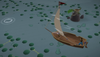 OSRS Weather Guide | Weather Troll & Weather Task Locations