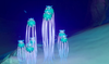 Subnautica 2 Necrolei Cyst Location Guide