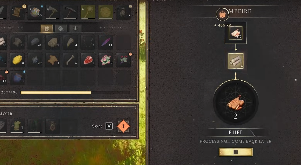 How to Cook Meat in RuneScape: Dragonwilds