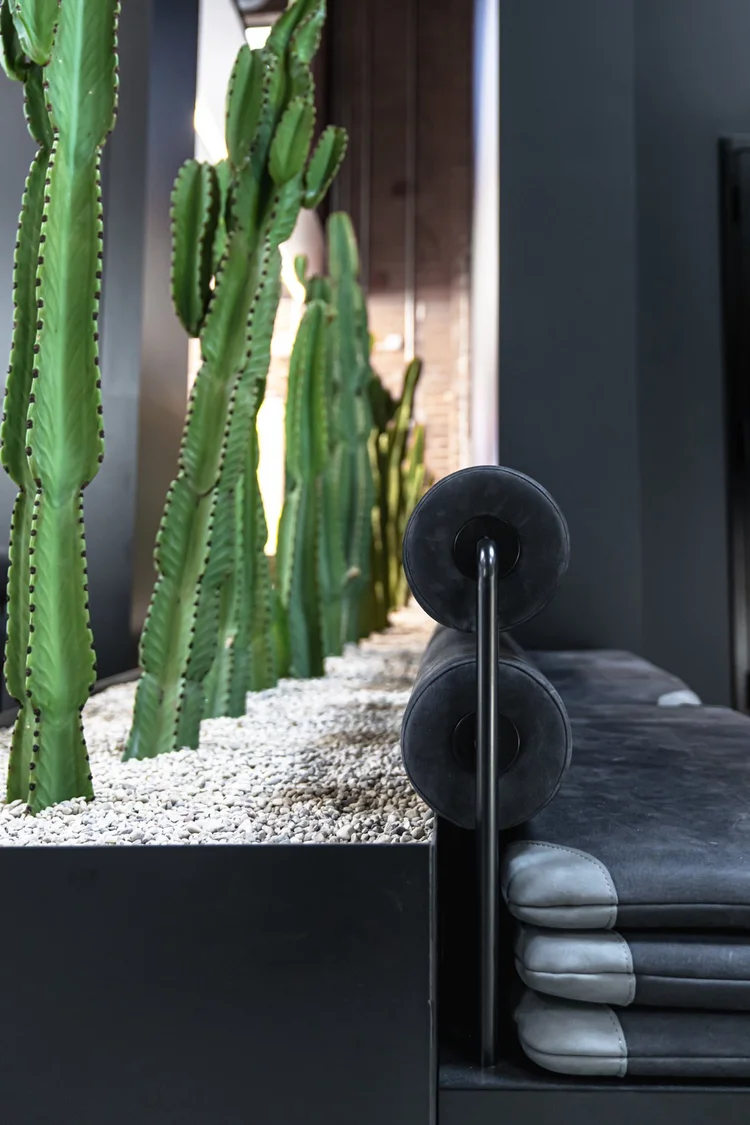 Red Bull Athlete Performance Center — FORMM