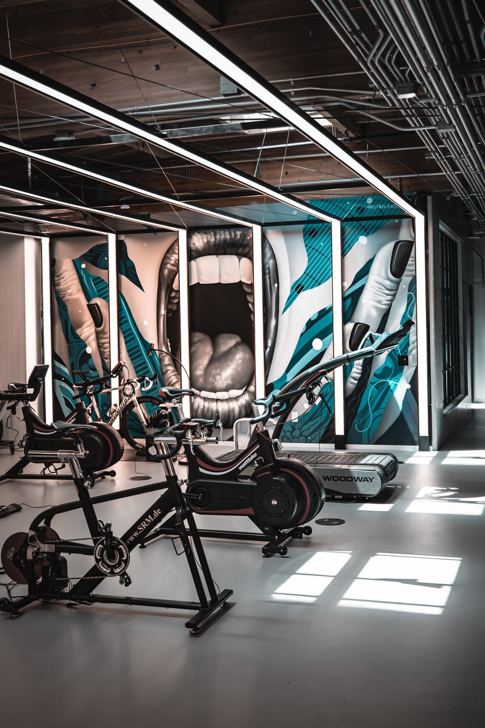 Red Bull Athlete Performance Center — FORMM