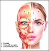 Puffy Eyes After Botox | Causes, Prevention & Expert Advice – Fresh ...