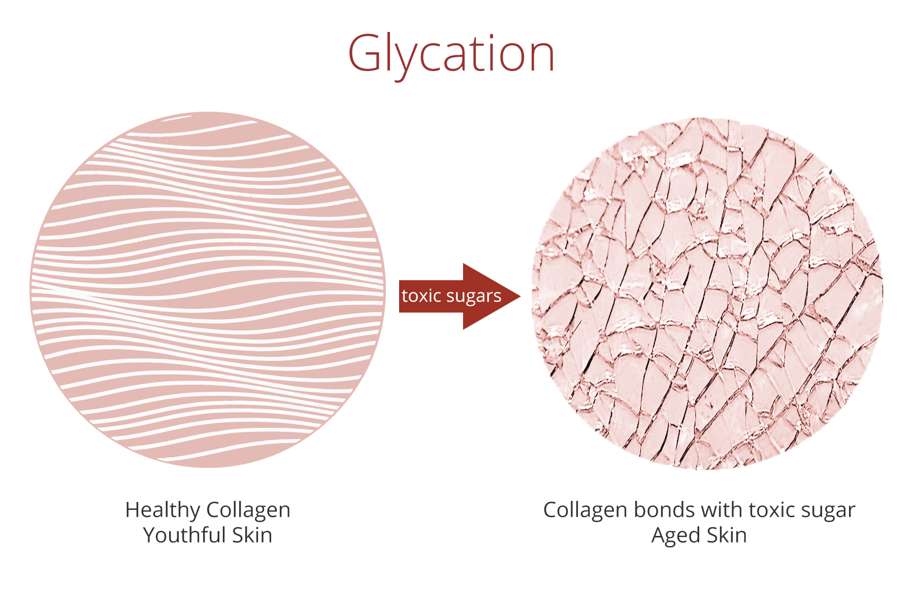 Glycation and Skin Ageing: What It Is, What Causes It, and How to ...