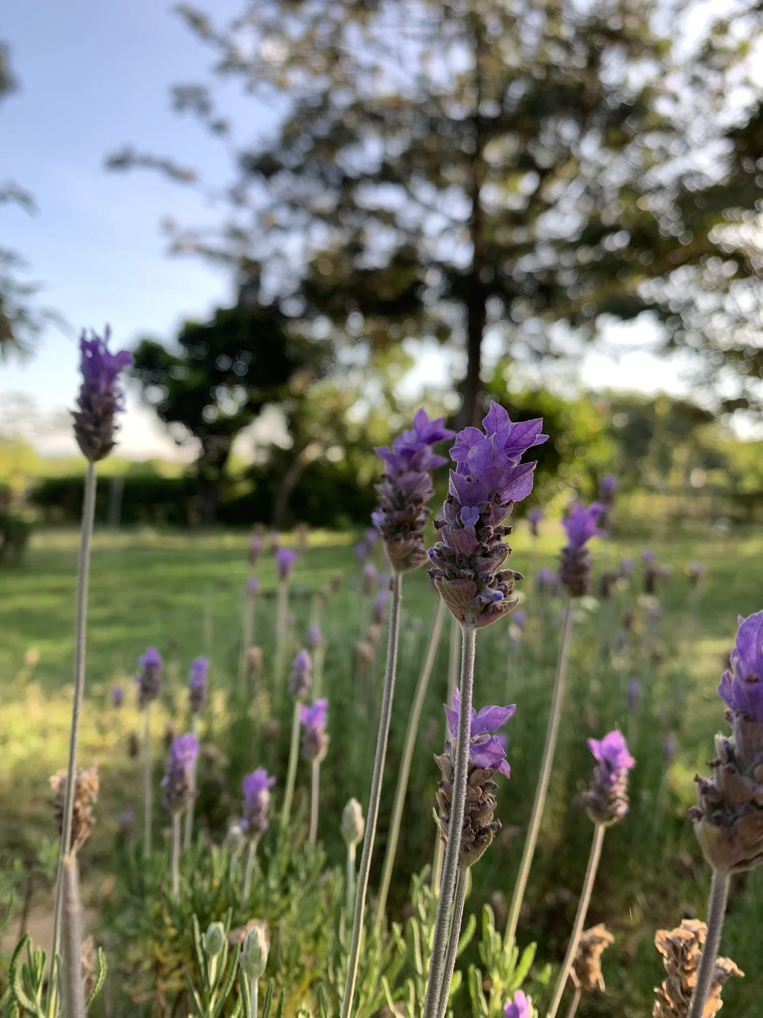 Kilima Gardens | Book Your Nature Escape Today