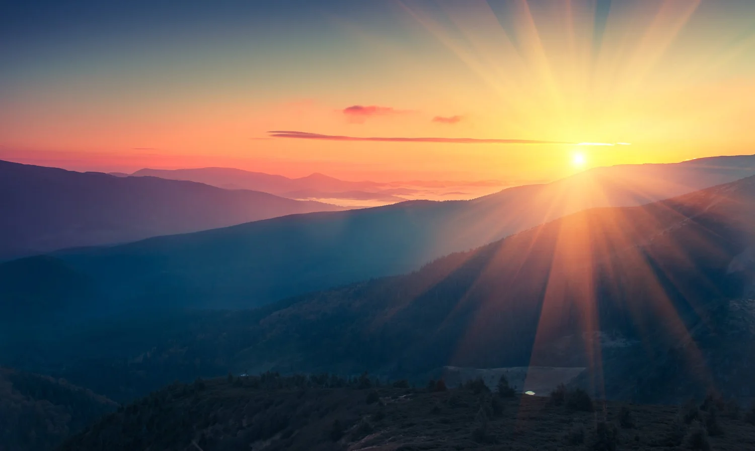 Via Dolorosa Blog | Start Your Recovery Now — Via Dolorosa Recovery
