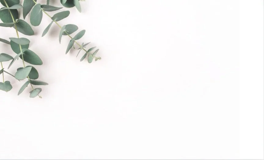 Thrive Therapeutic Services