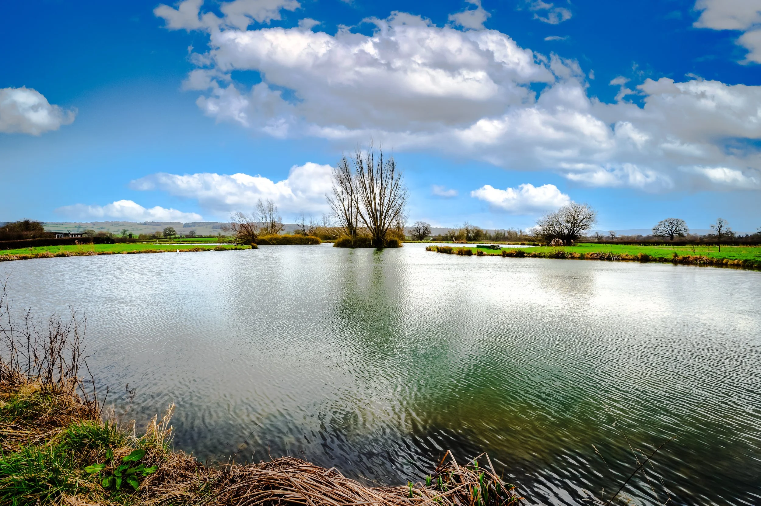 Delbury Hall Trout Fishery For Corporate Or Event Days — The Barns at ...