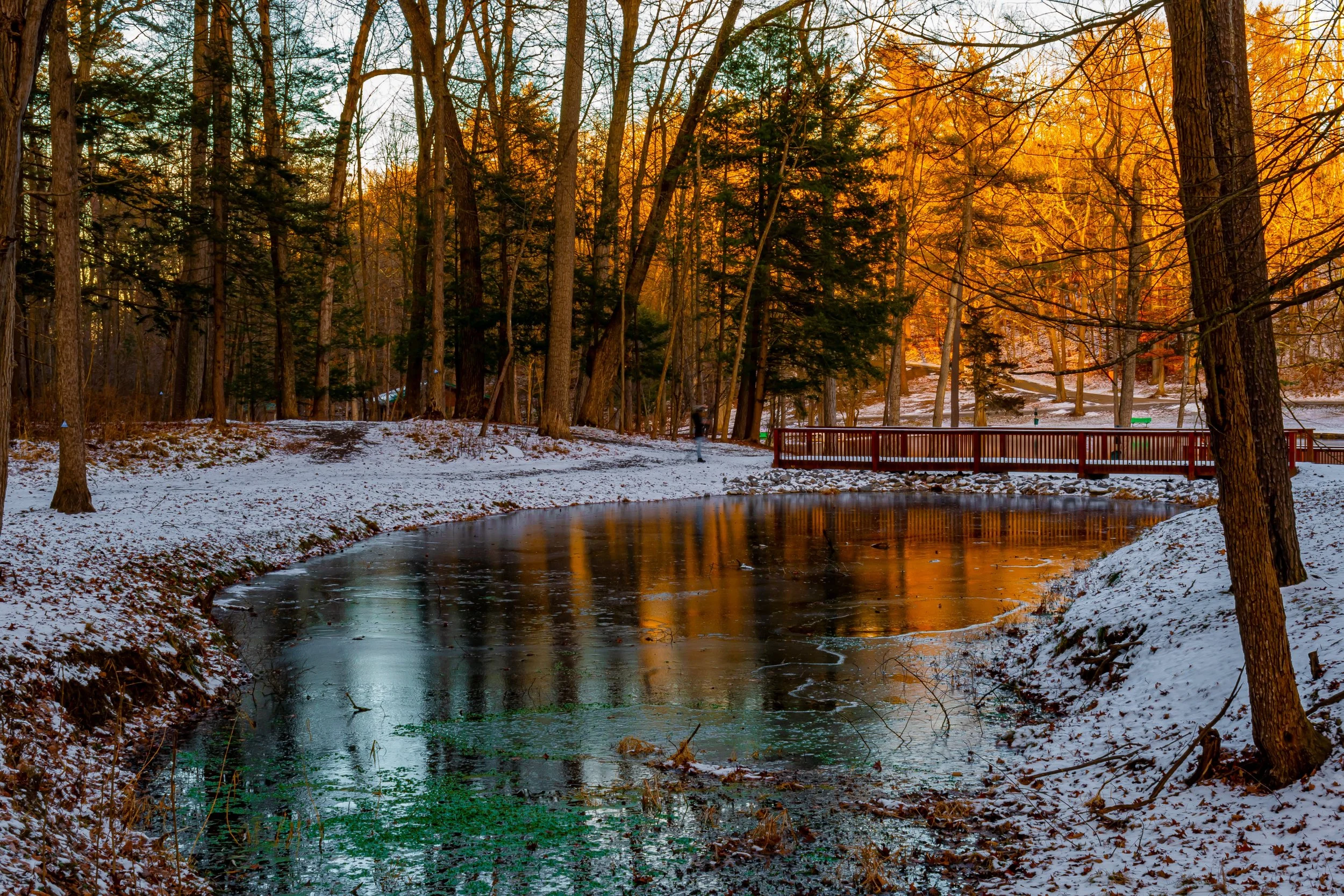 Attractions — Visit Mount Morris