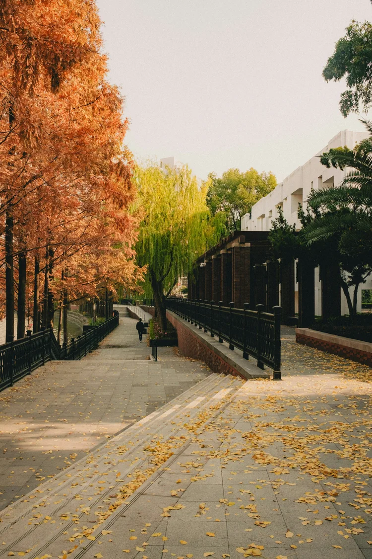 12 Daily Routines to Feel Grounded and Connected with Nature: Slow ...