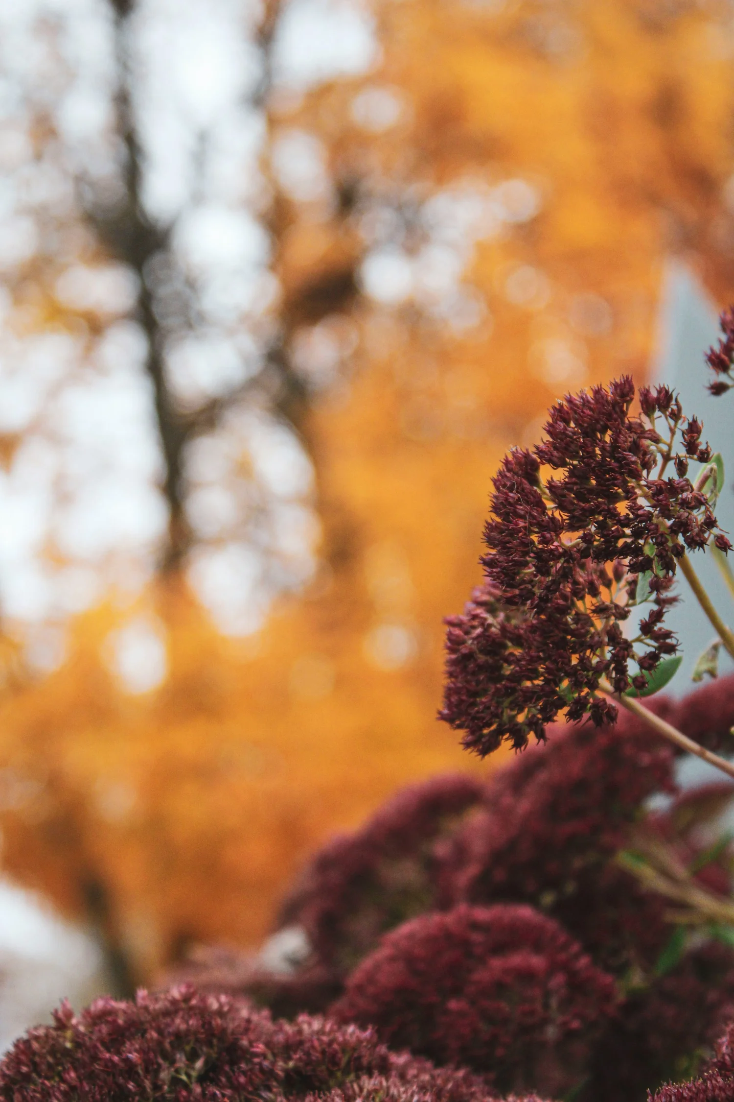 25 Cosy Hobbies Perfect for Fall — escape the busy.