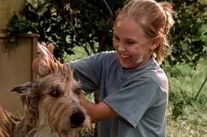 22 Nostalgic Spring Movies - Cozy, Feel-Good Spring-Themed Movies ...