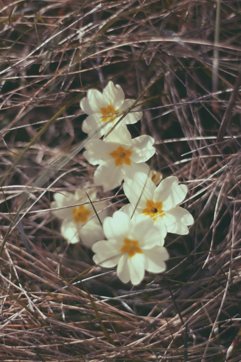 Seasonal Living List for April — escape the busy.