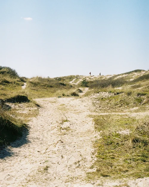 June Seasonal Living List — escape the busy.