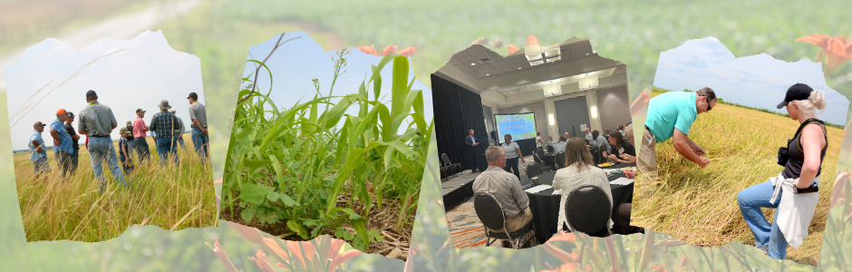 Sowing & Growing: A Transformative Year for RIPE | RIPE