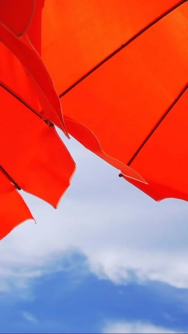 ABOUT — Mad Studio