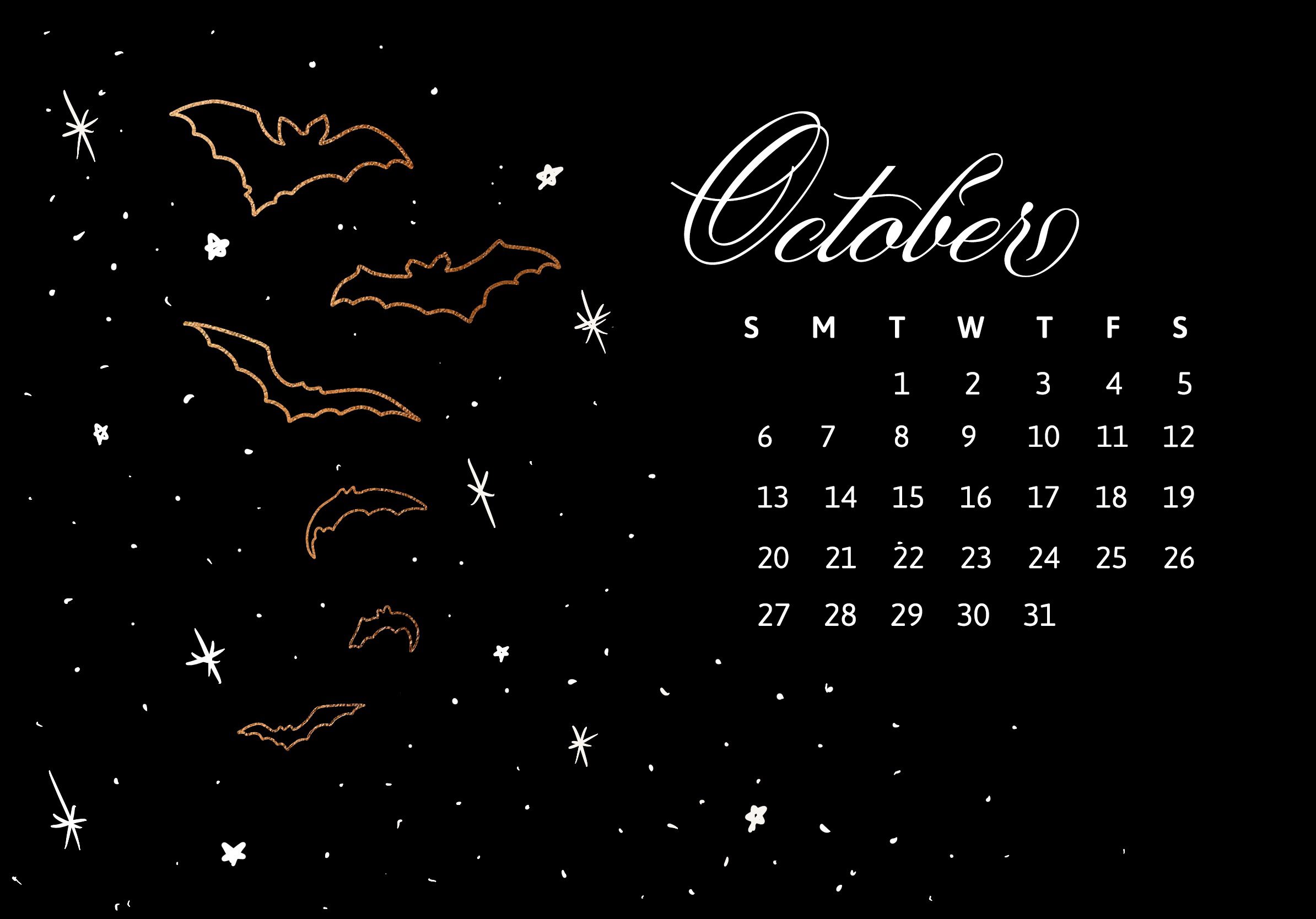 October Pumpkin 2024 Desktop Background — Studio Miller