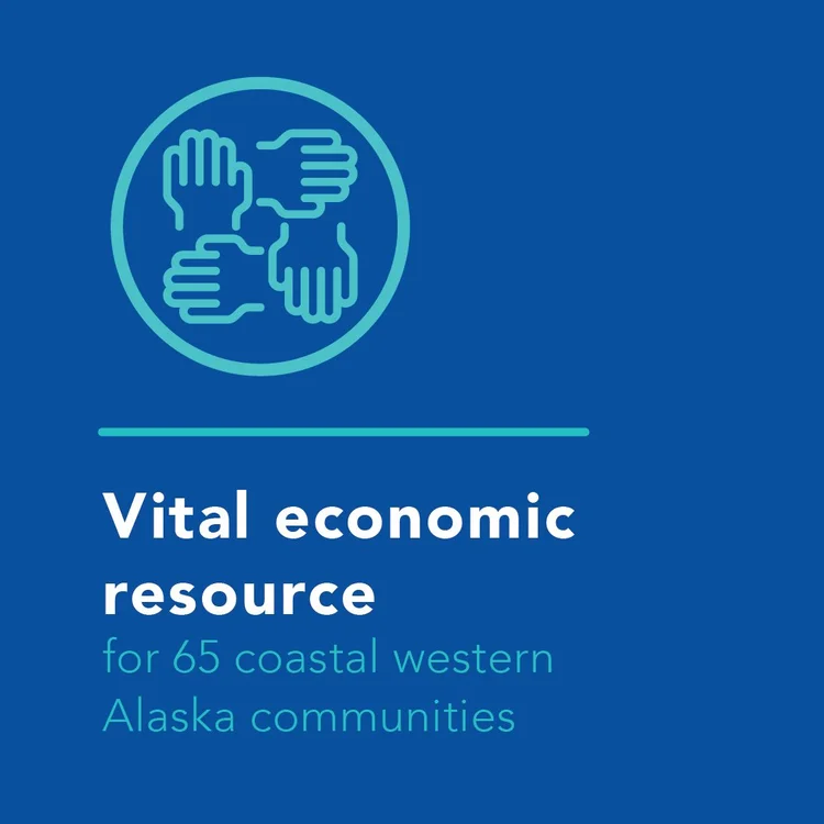 Alaska Pollock Fishery Alliance (APFA)