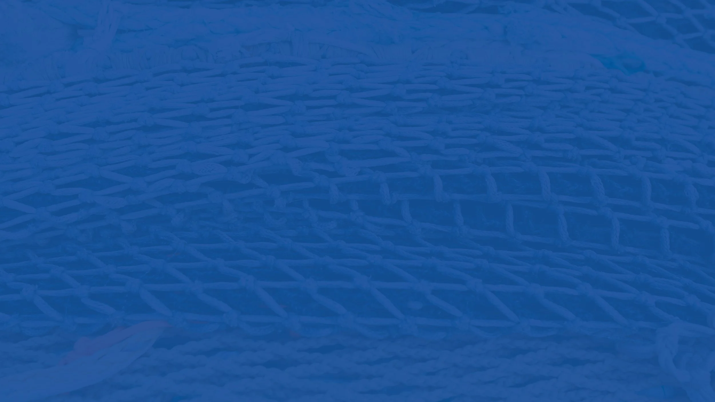 Reducing Bycatch — Alaska Pollock Fishery Alliance (APFA)