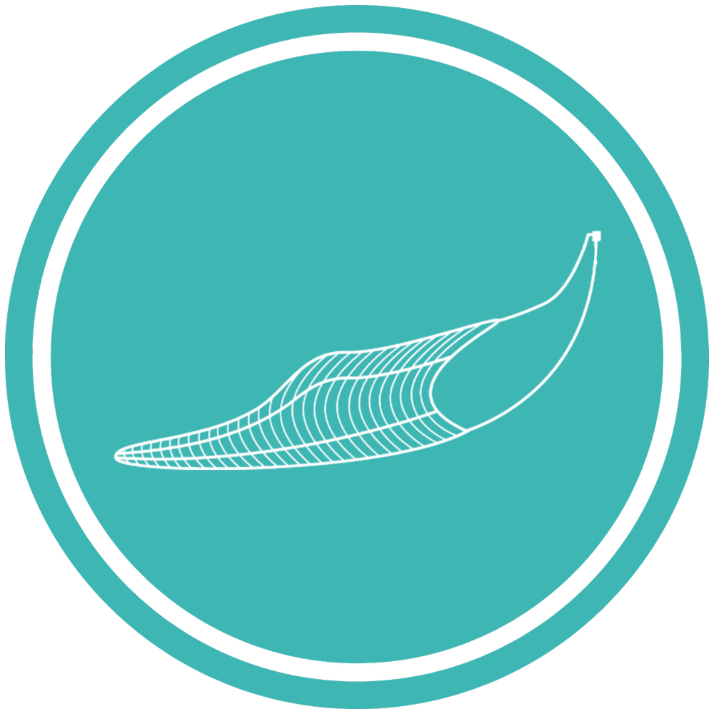 Myths Vs Facts — Alaska Pollock Fishery Alliance (APFA)