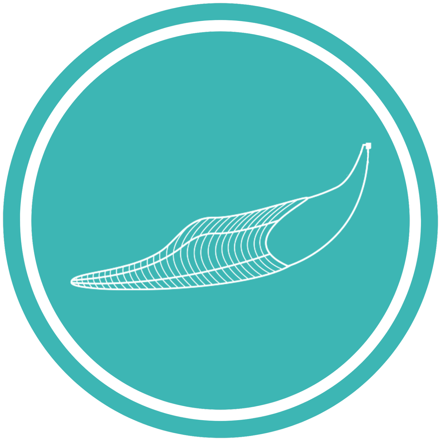 Myths Vs Facts — Alaska Pollock Fishery Alliance (APFA)