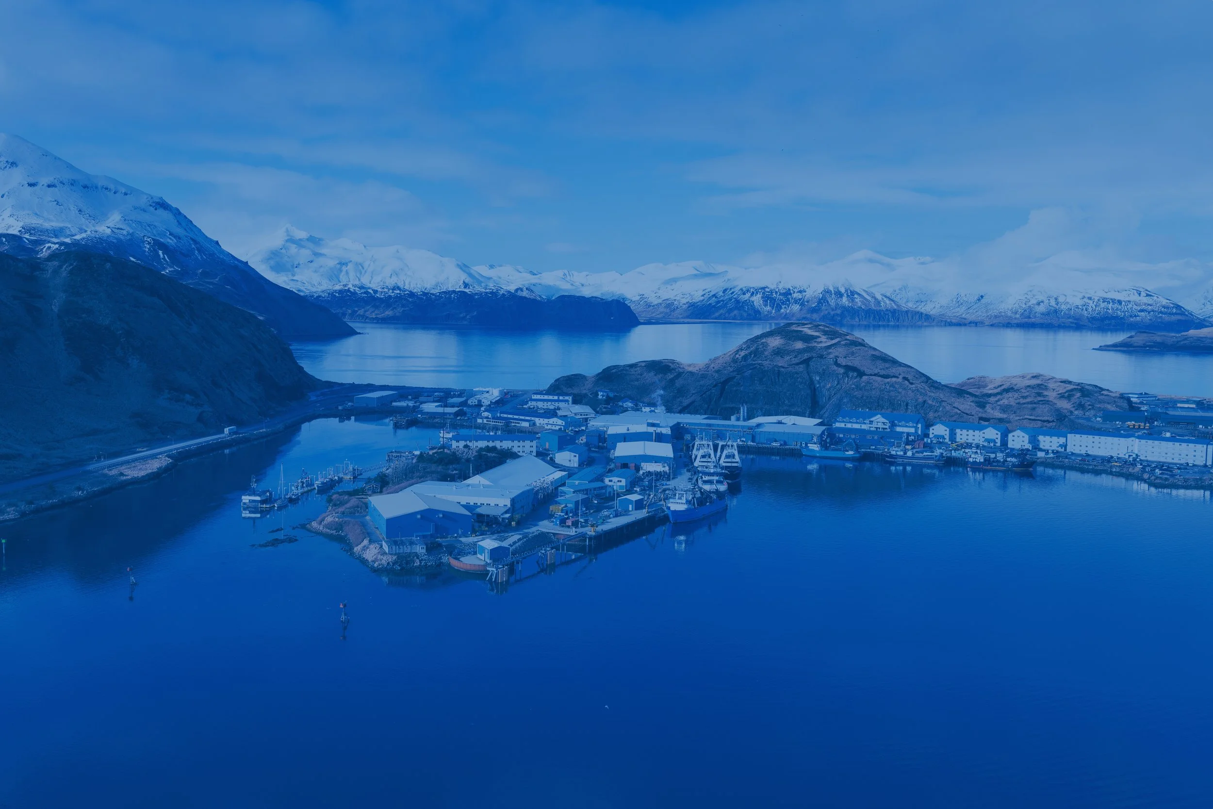 Alaska Pollock Fishery Alliance (APFA)