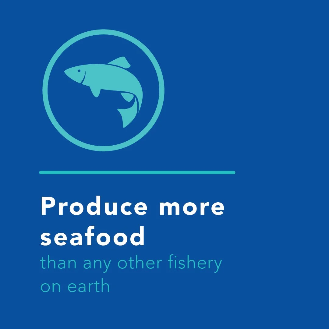 Alaska Pollock Fishery Alliance (APFA)