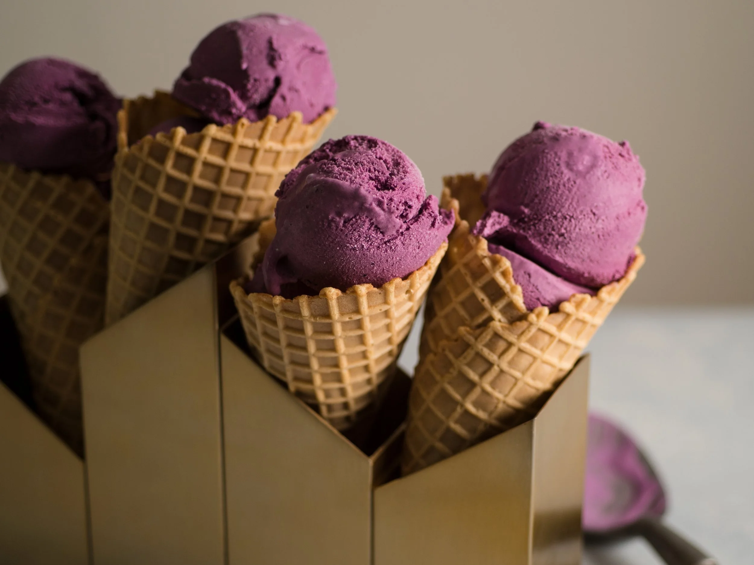 Blueberry Philadelphia Style Ice Cream — Erin Jeanne McDowell