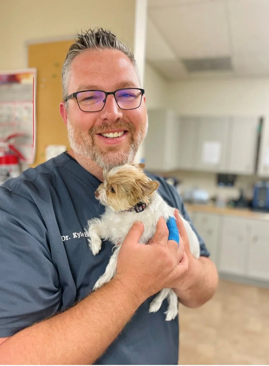 Team — Lone Peak Veterinary Hospital