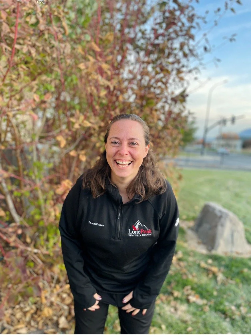 Team — Lone Peak Veterinary Hospital