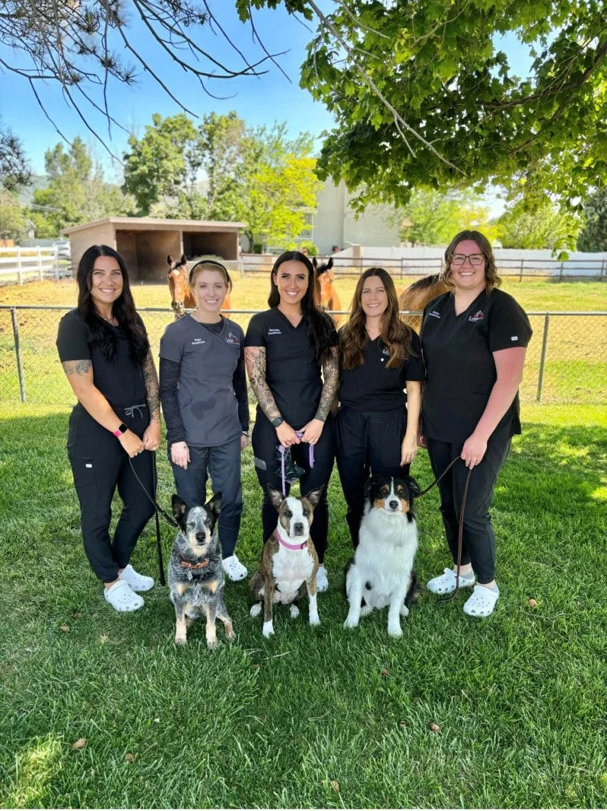 Team — Lone Peak Veterinary Hospital