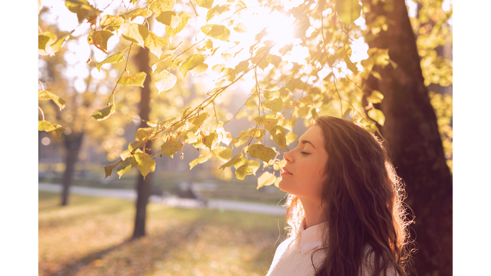 6 SOMATIC EXERCISES TO CALM YOUR NERVOUS SYSTEM — Two Stories