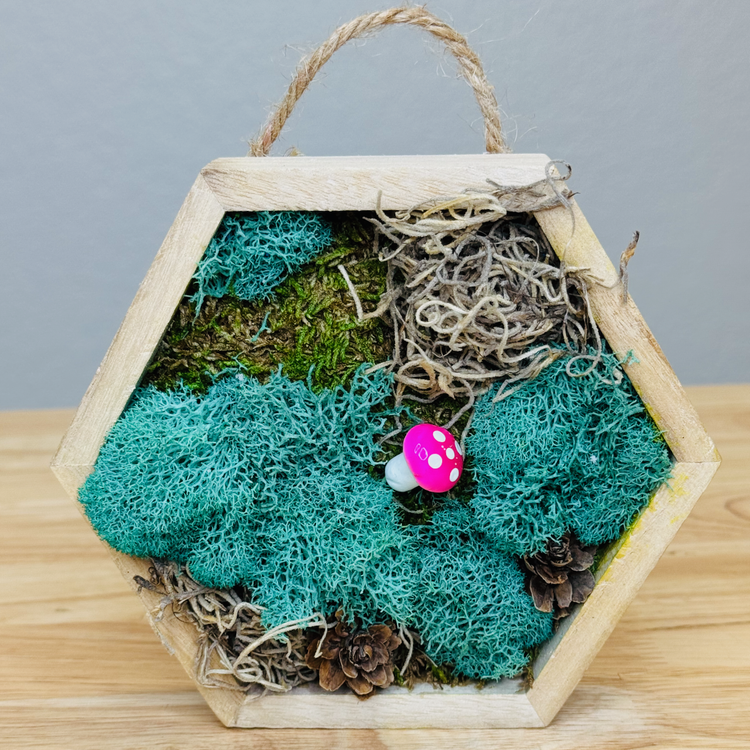 DIY Kits - Learn Something New at Home! — The Works Seattle