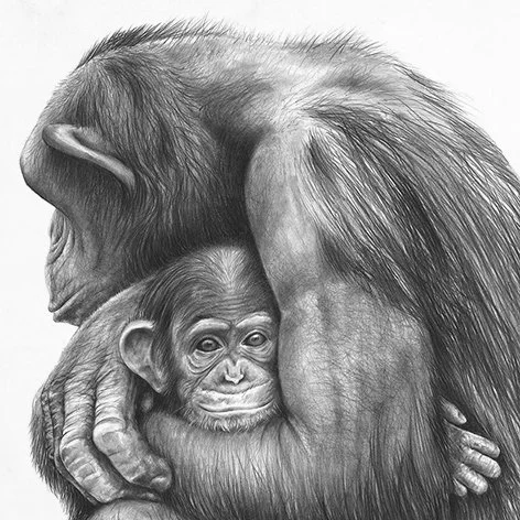 Andrew Howells Artist