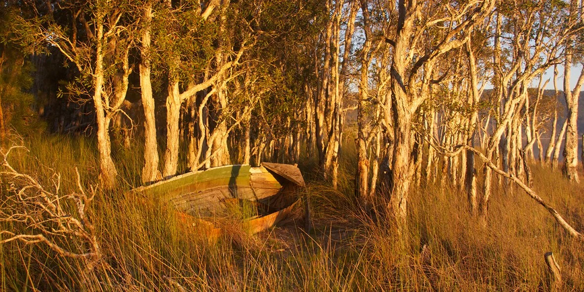 Andrew Howells Artist